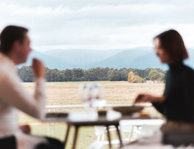Image Gallery | Yering Station, Yarra Valley